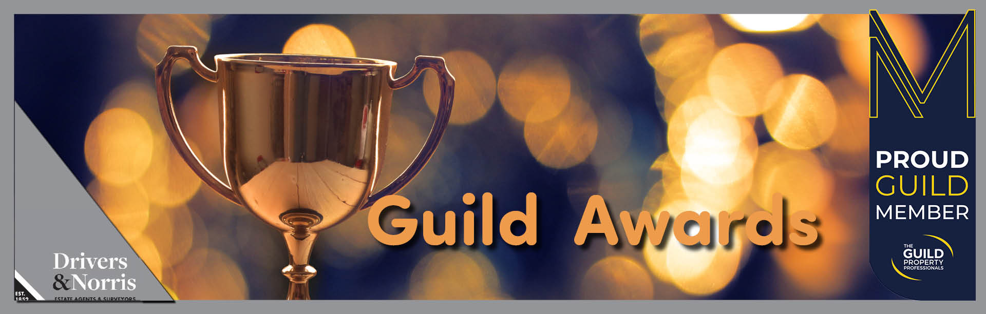 The 2021 Guild Awards: Winners Announced | Drivers & Norris