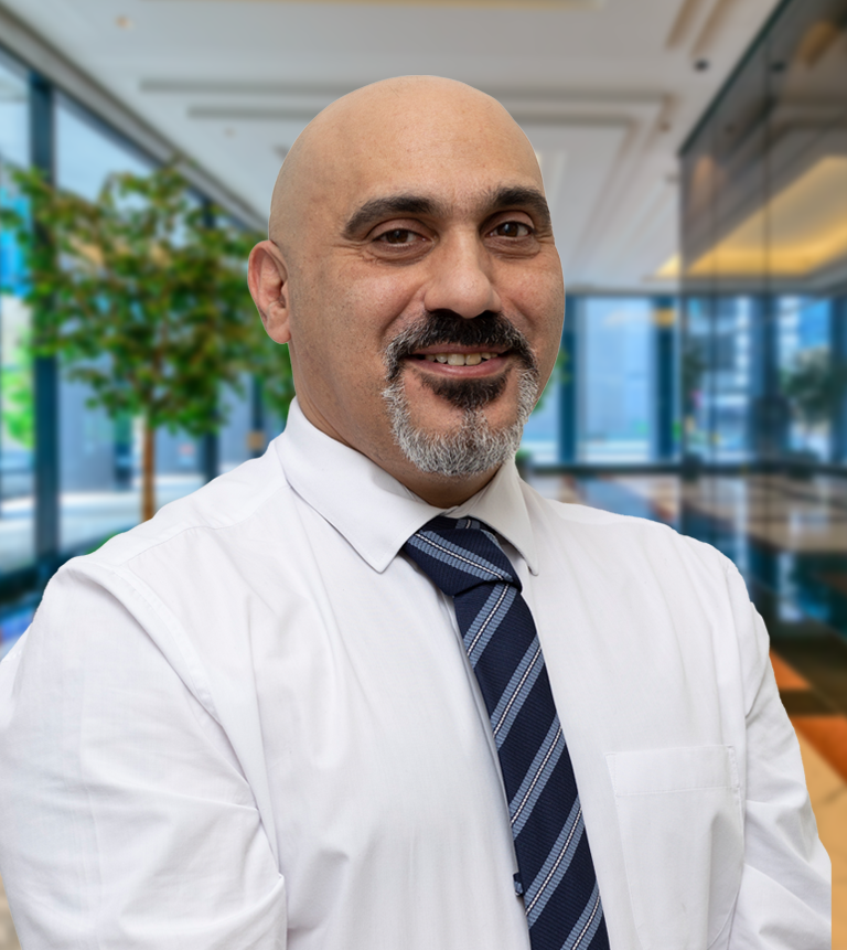 Meet the Team | Drivers & Norris