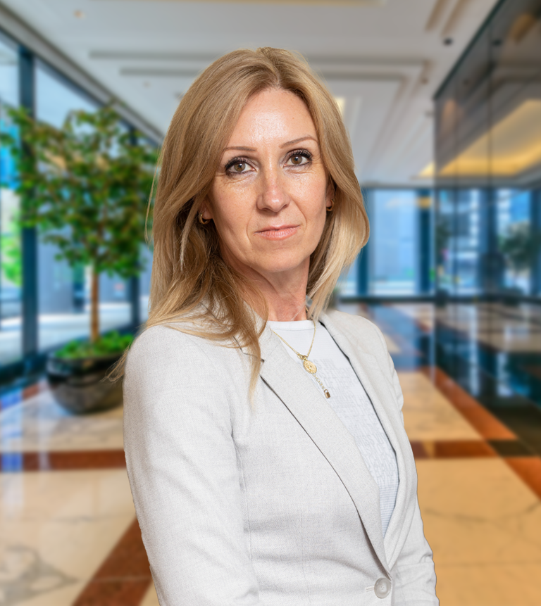 Meet the Team | Drivers & Norris